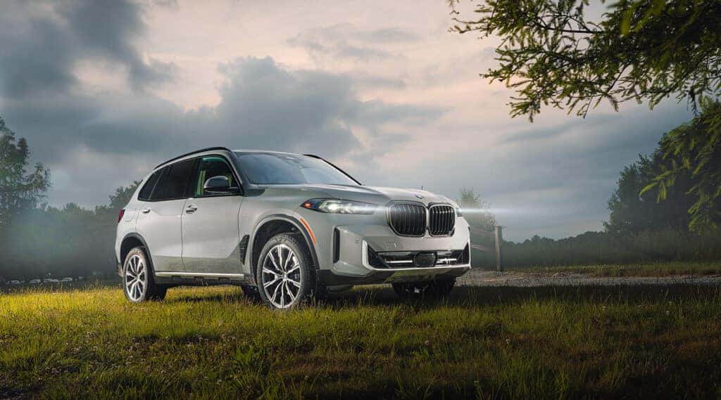 Which 2025 BMW Models Offer Third-Row Seating?