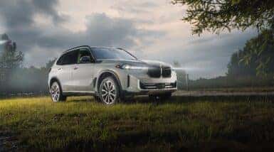 BMW X5 Battery Location Guide (2000-2025): Find & Replace Easily