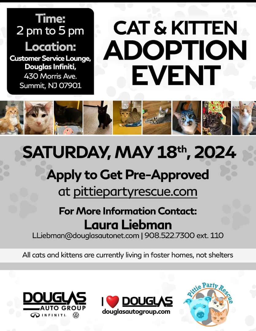 CAT & KITTEN ADOPTION EVENT | Douglas INFINITI