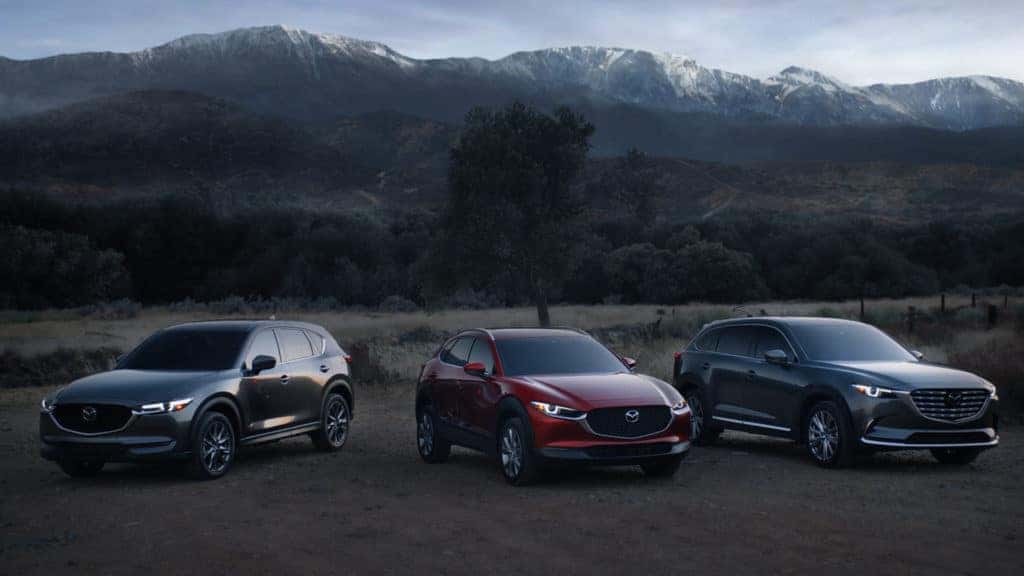 Modernized Mazda’s For Every Lifestyle | Liberty Mazda