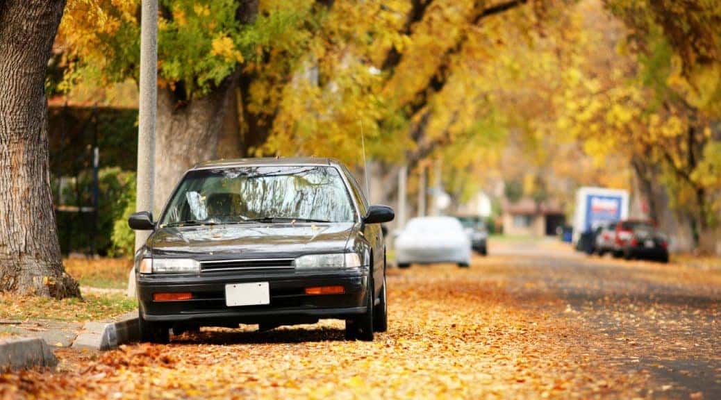 How to Protect Your Vehicle in the Fall - Miami Lakes Automall ...