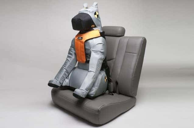 Pet Proofing Your Vehicle | Miami Lakes Automall