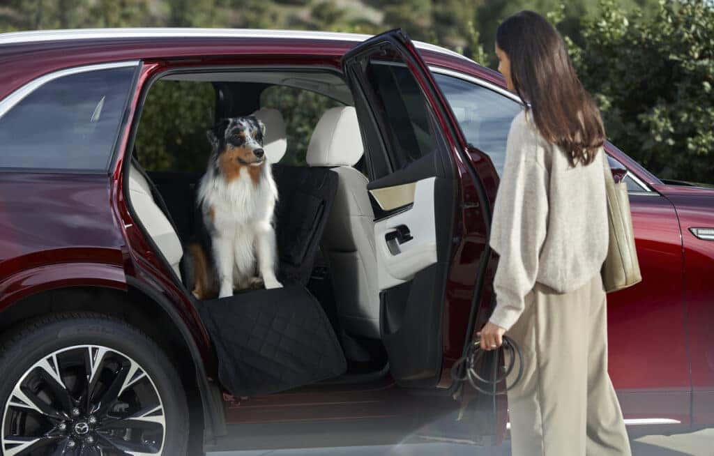 2024 MAZDA CX-90 Specs and Noteworthy Details