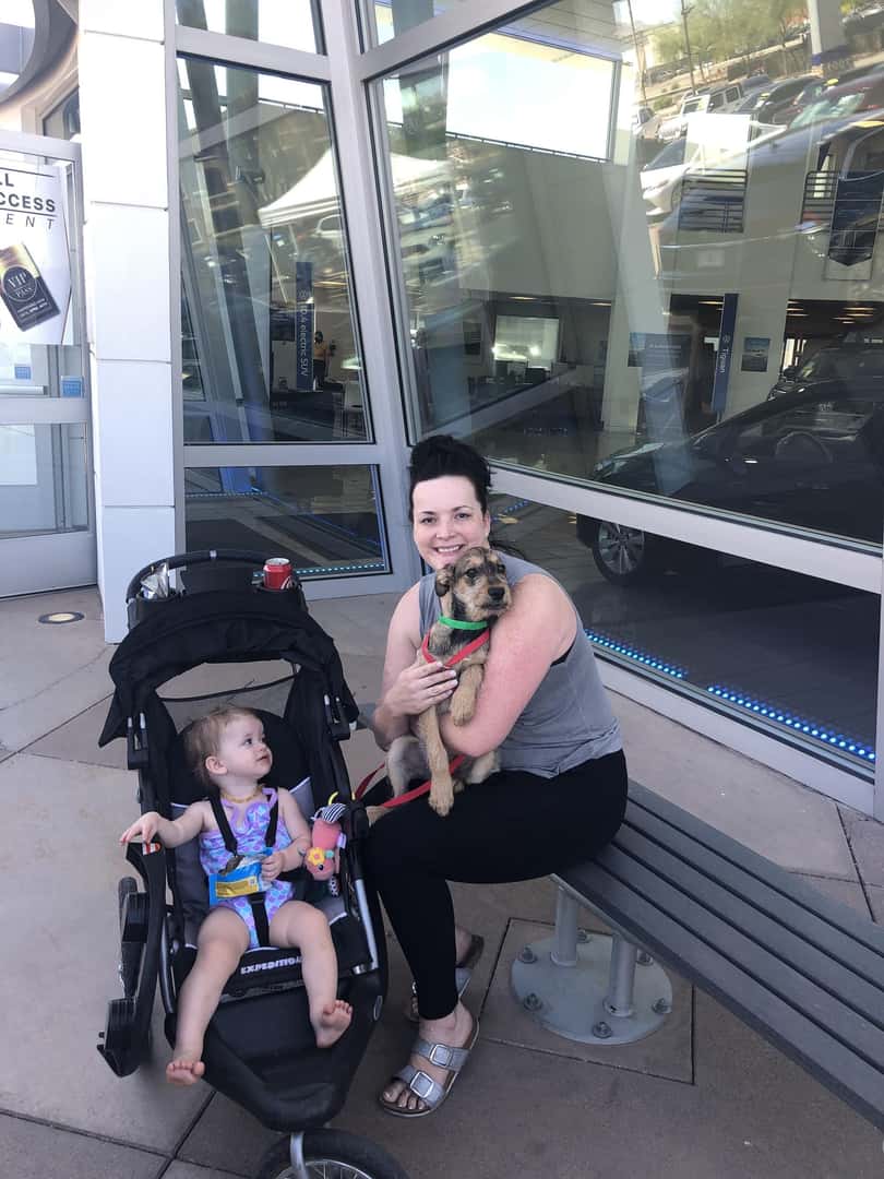 HALO Animal Rescue | Animal Rescues in Phoenix