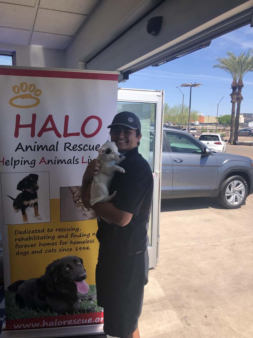 HALO Animal Rescue | Animal Rescues in Phoenix