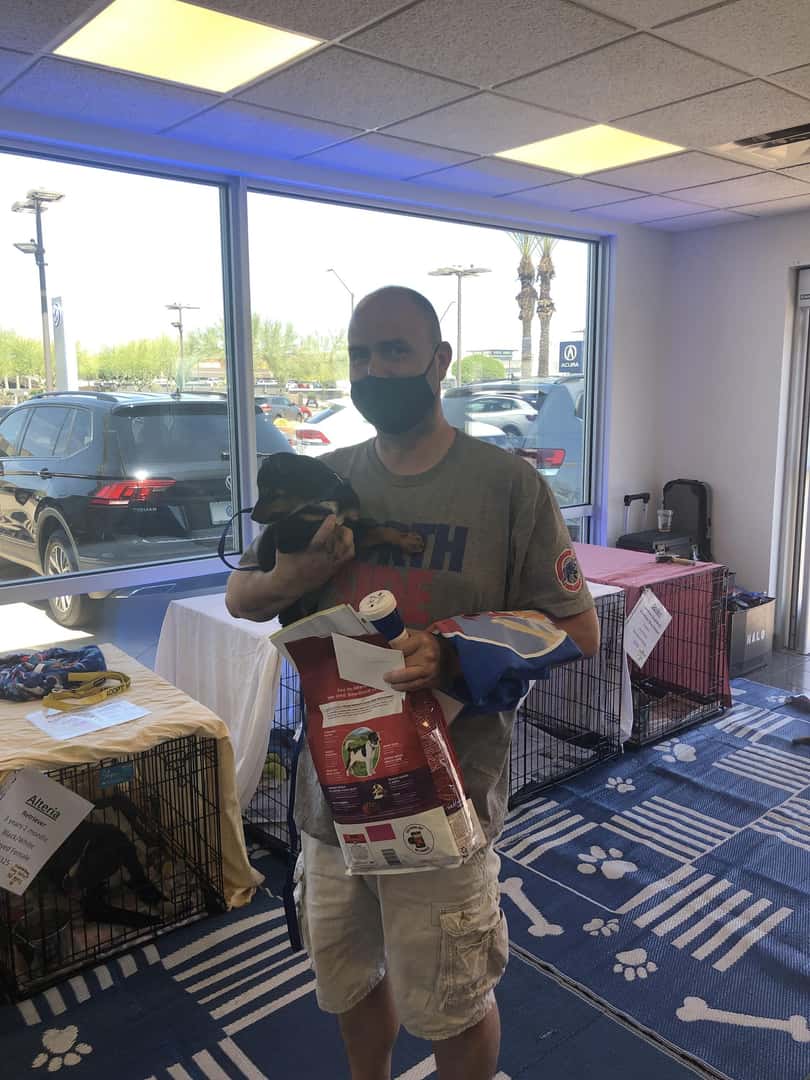 HALO Animal Rescue | Animal Rescues in Phoenix